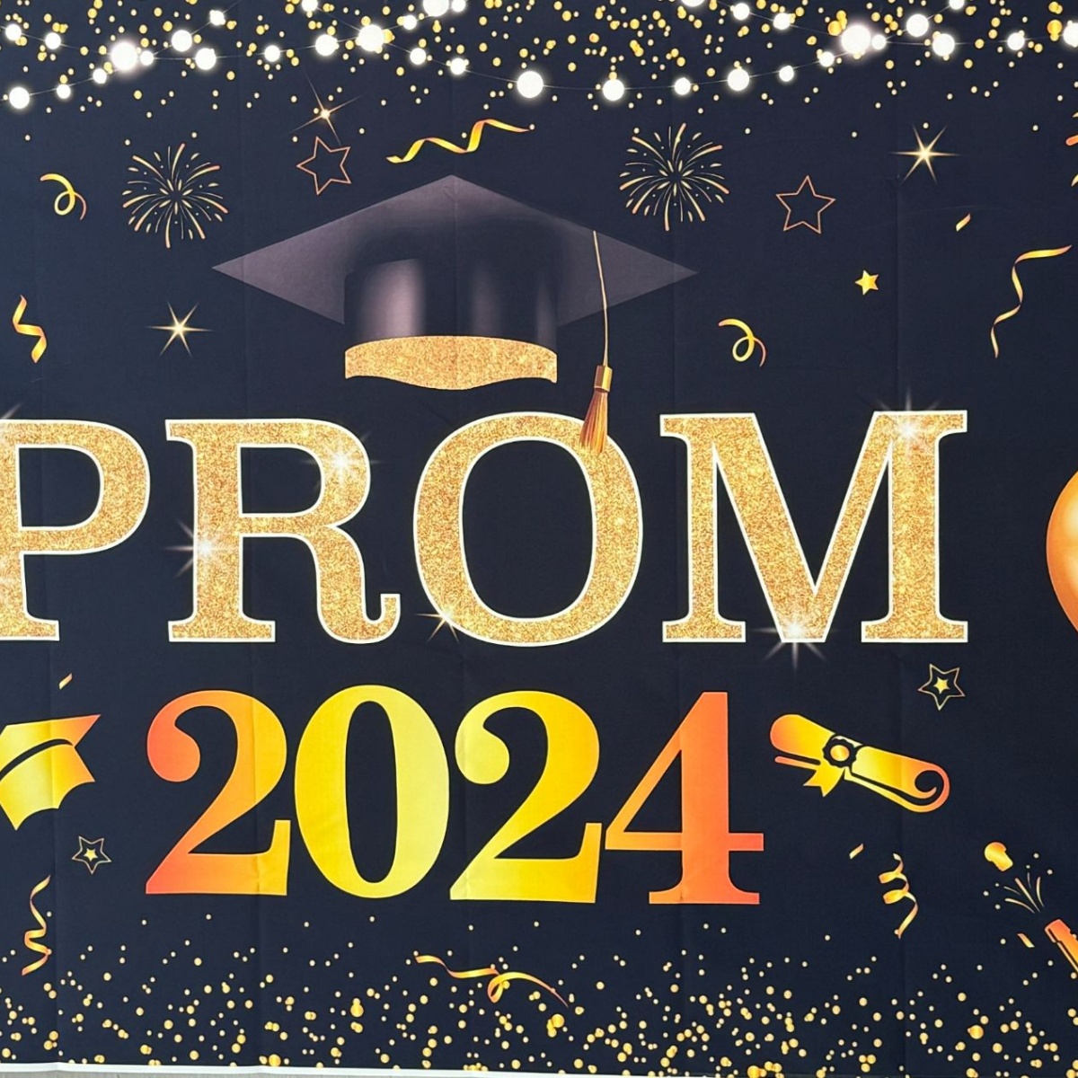 Dorset Studio School - Prom 2024